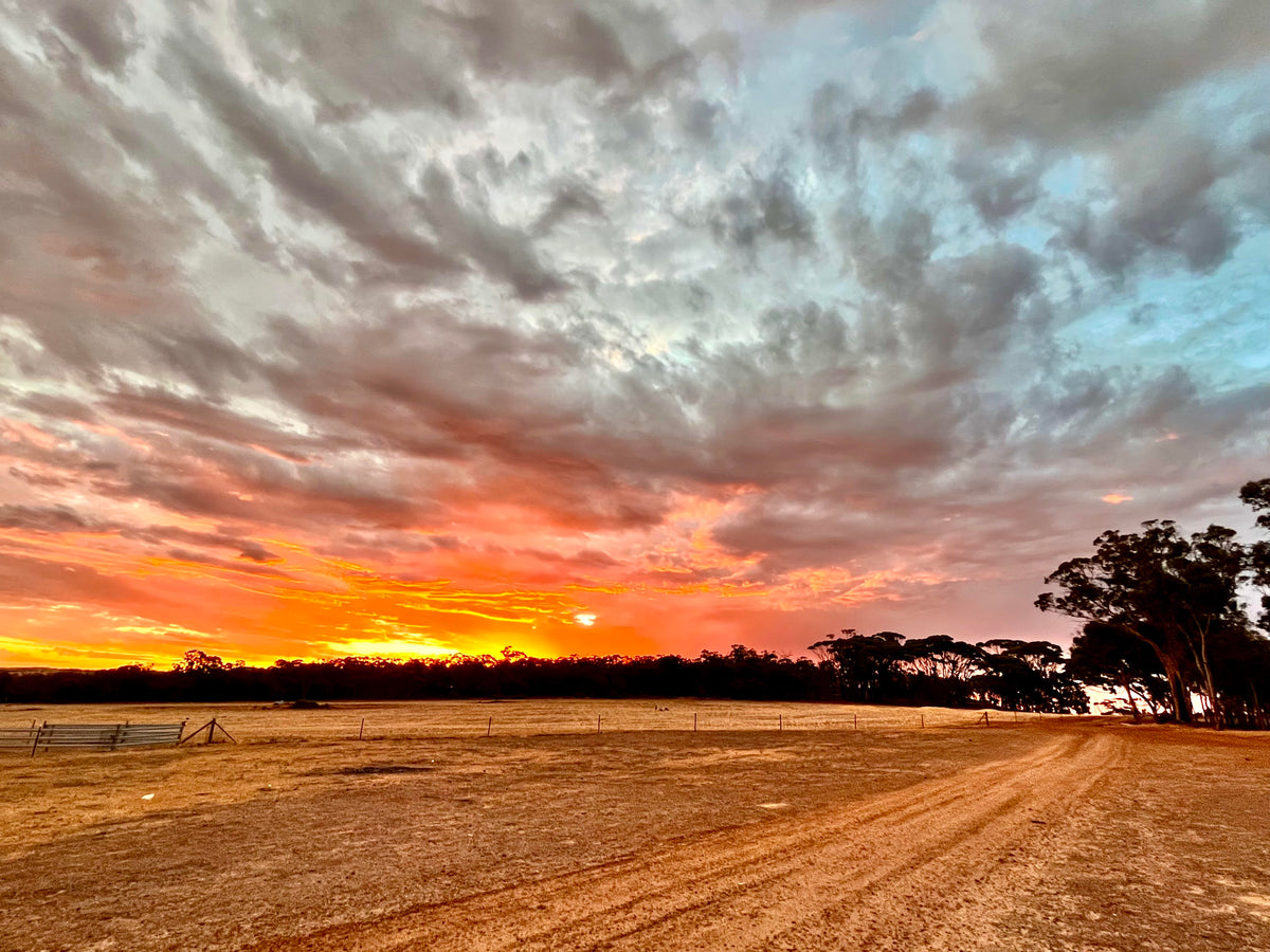 Signature Collection Scented Reed Diffusers – Diamonds & Dust Candle ...